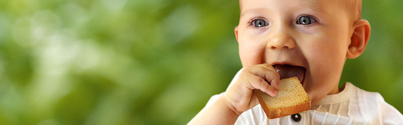 Baby's Biscuit | HiPP Organic