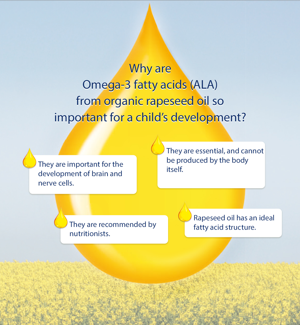 Why is Omega-3 from rapeseed oil important? | HiPP Organic